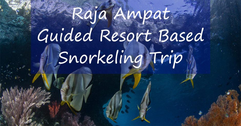 The Best Keys Snorkeling Is By Far In The Middle Keys