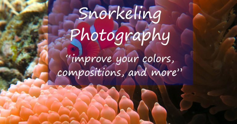 2025 Snorkeling Camera Guide - By An Experienced Snorkeler