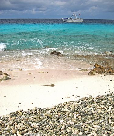 Snorkeling 1000 Steps - Beautiful Spot With Corals & Fish