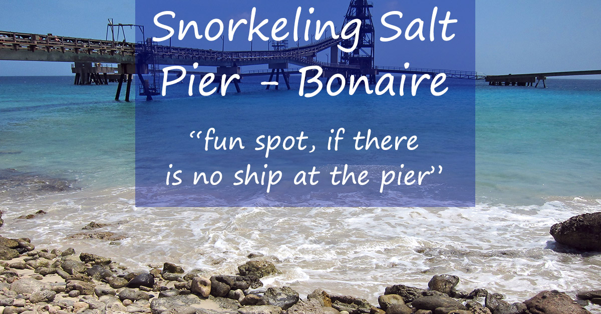 Snorkeling Salt Pier - Lots Of Fish Around The Pilings