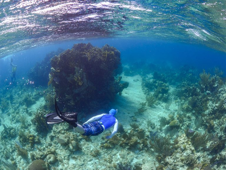 Caribbean Snorkeling Trips - Guided Snorkel Travel