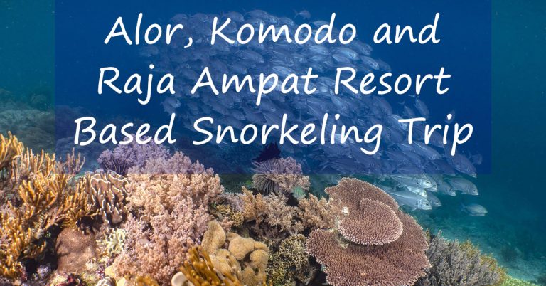 Key Largo Snorkeling - The Best Spots And How To Get To Them
