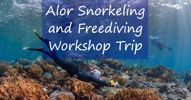 Snorkeling Sombrero Reef - A Super Treat! See Pictures