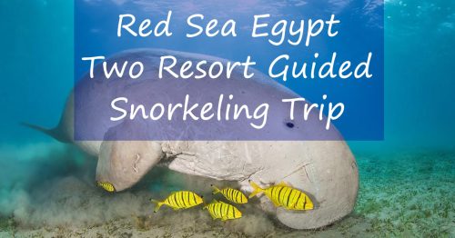 Key Largo Snorkeling - The Best Spots And How To Get To Them