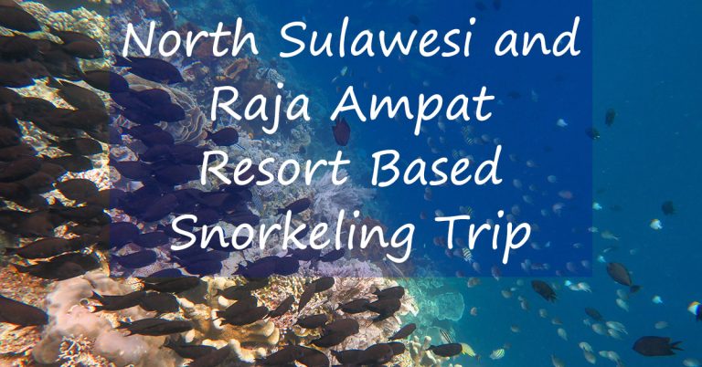 Key Largo Snorkeling - The Best Spots And How To Get To Them