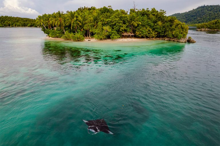 2 Fabulous Raja Ampat Resorts Snorkeling Trip - World's Best